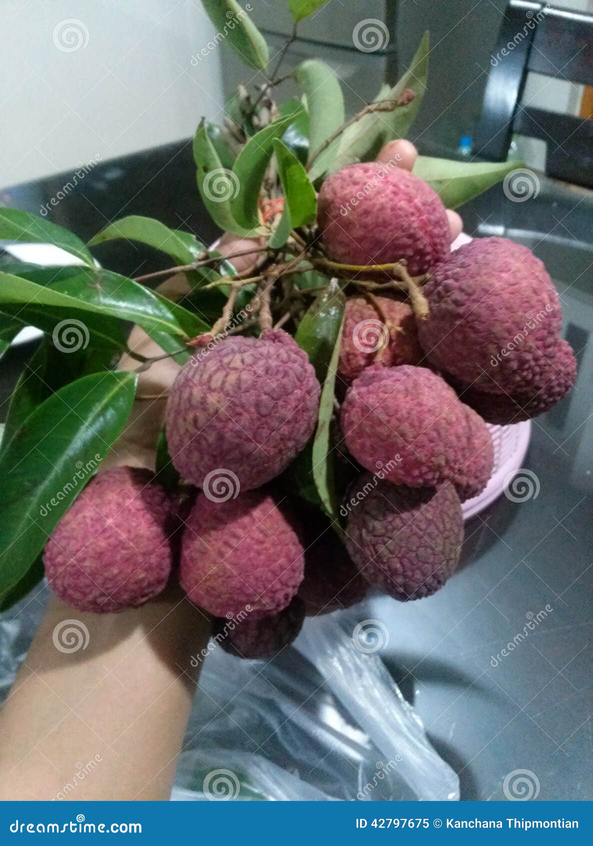 Lynchee stock image. Image of fruit, hand, sweet, delicious - 42797675