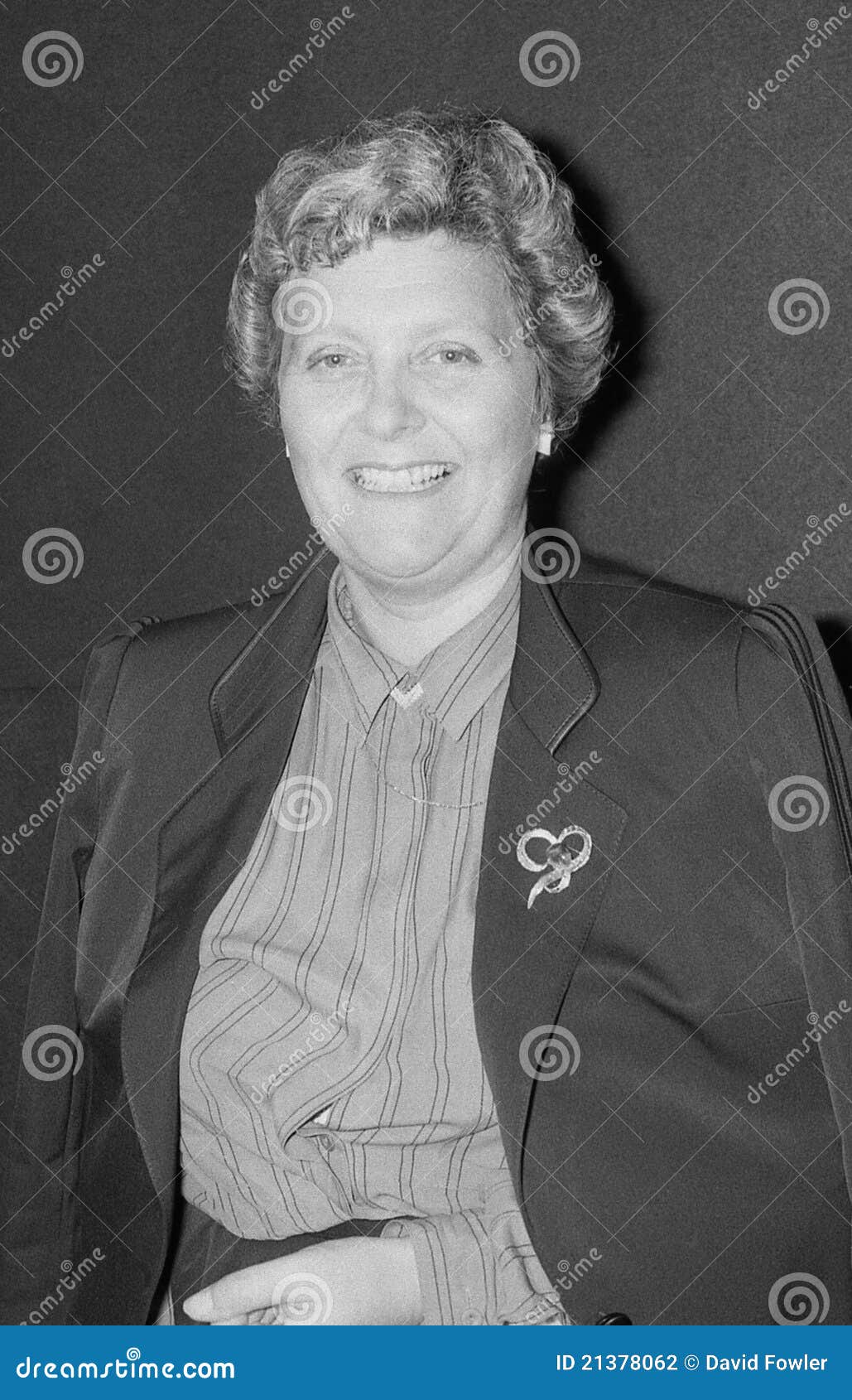 Lynda Chalker photographie éditorial. Image du parlement - 21378062