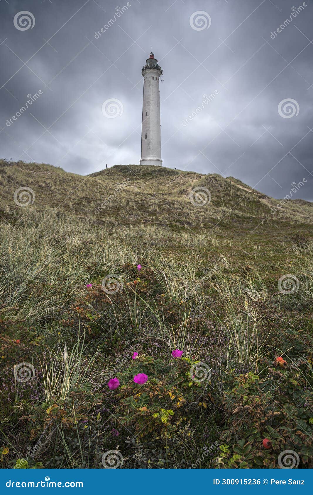 Lyngvig Lighthouse in Jutland, Denmark Stock Photo - Image of coastline ...