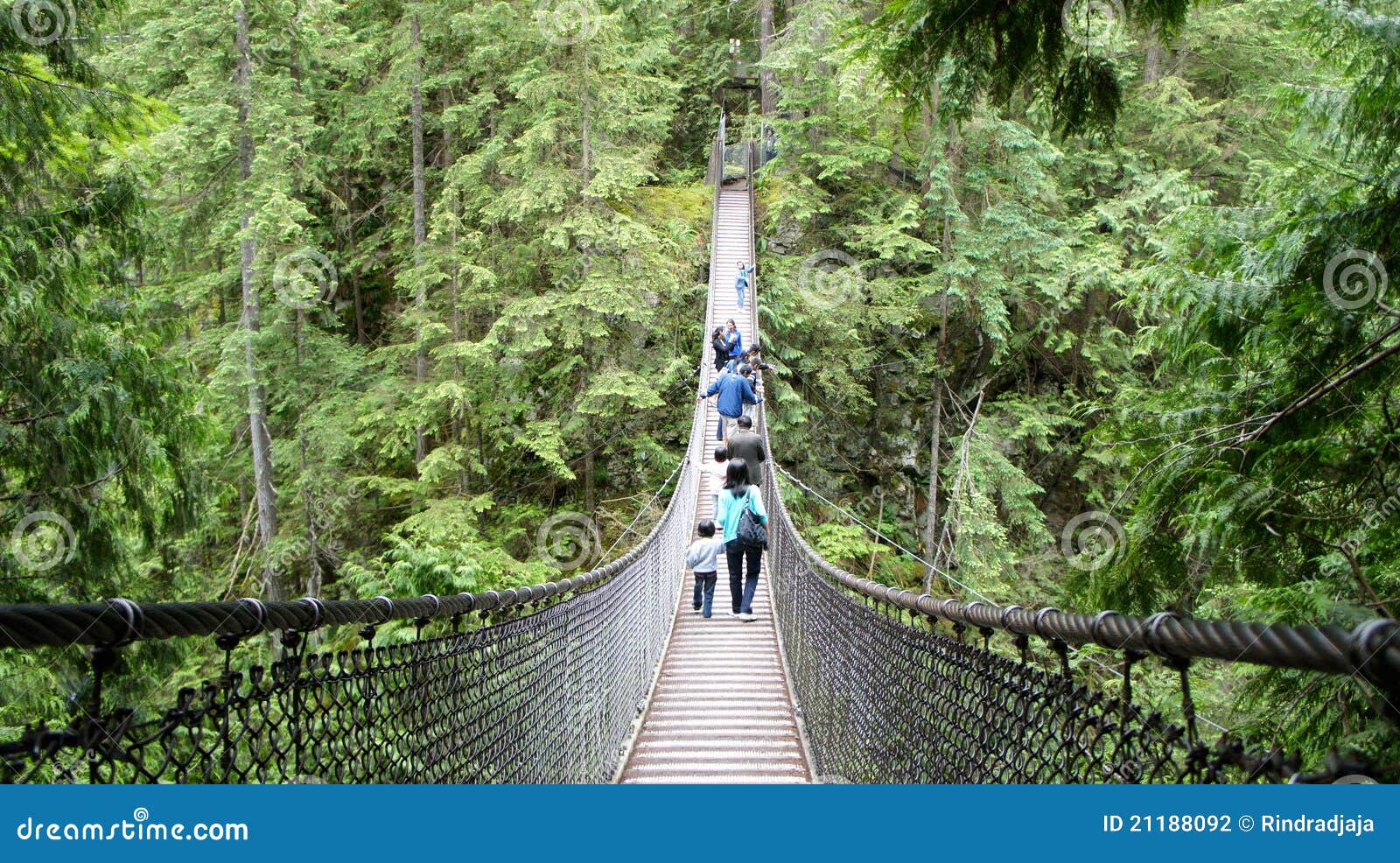 Lynn Canyon Suspension Bridge Editorial Photography - Image of bridge ...