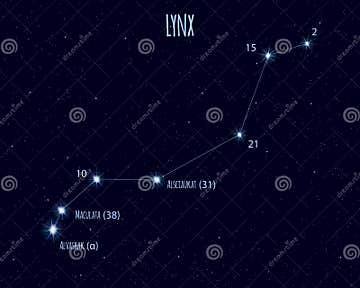 Lynx Constellation, Vector Illustration with the Names of Basic Stars ...