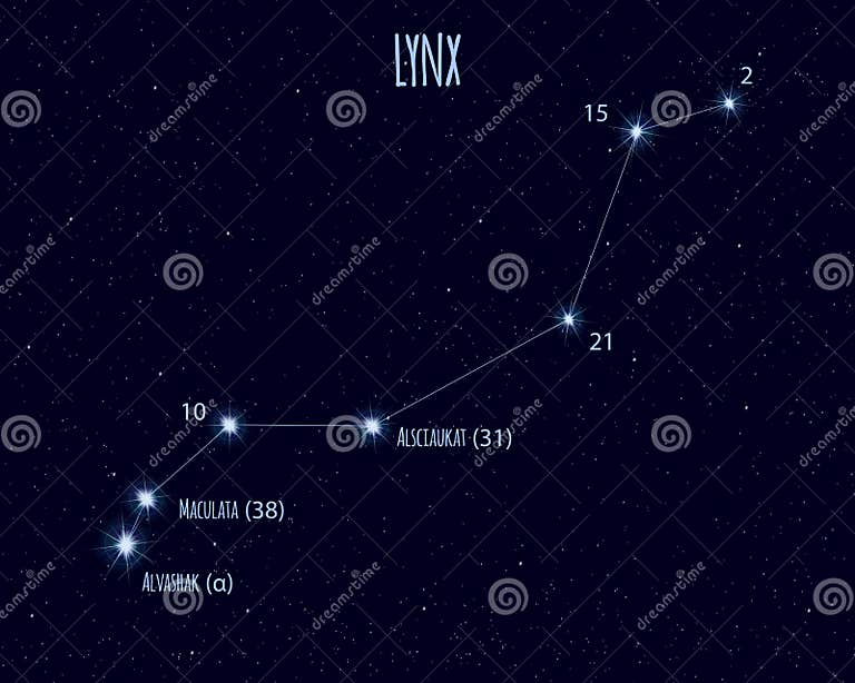Lynx Constellation, Vector Illustration with the Names of Basic Stars ...
