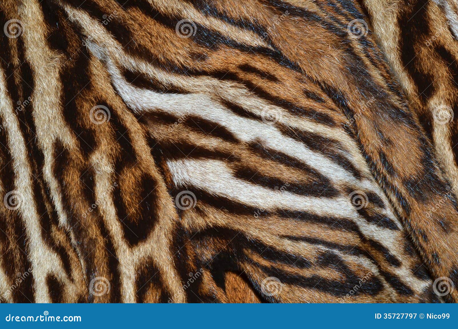 Lynx fur texture stock image. Image of skins, details - 35727797