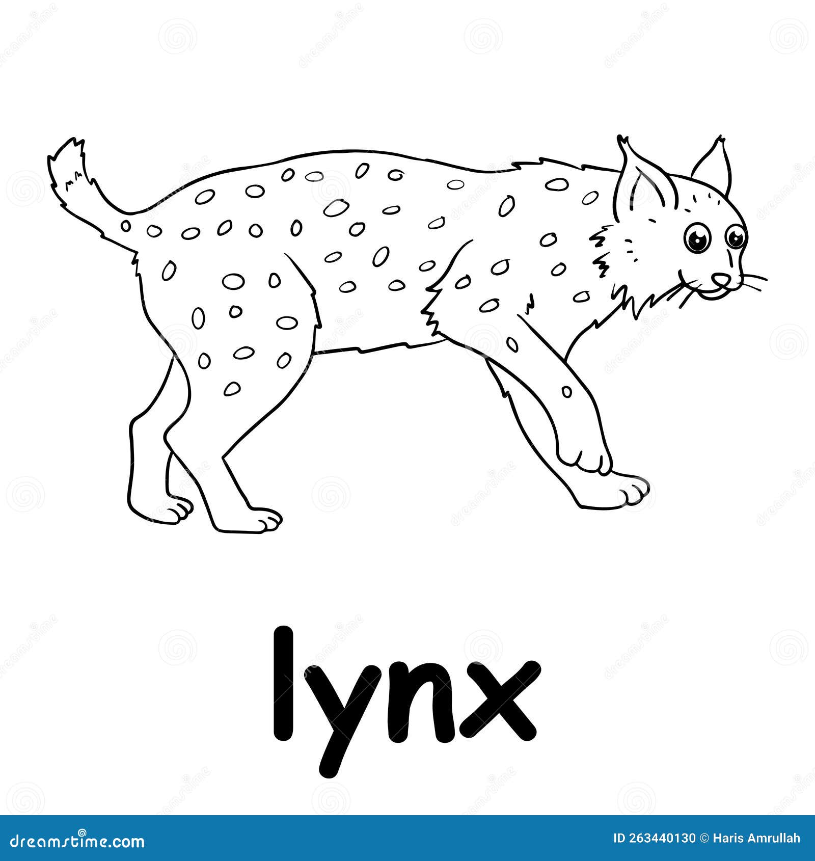 Kids Line Illustration Coloring Lynx. Animal Outline | CartoonDealer ...