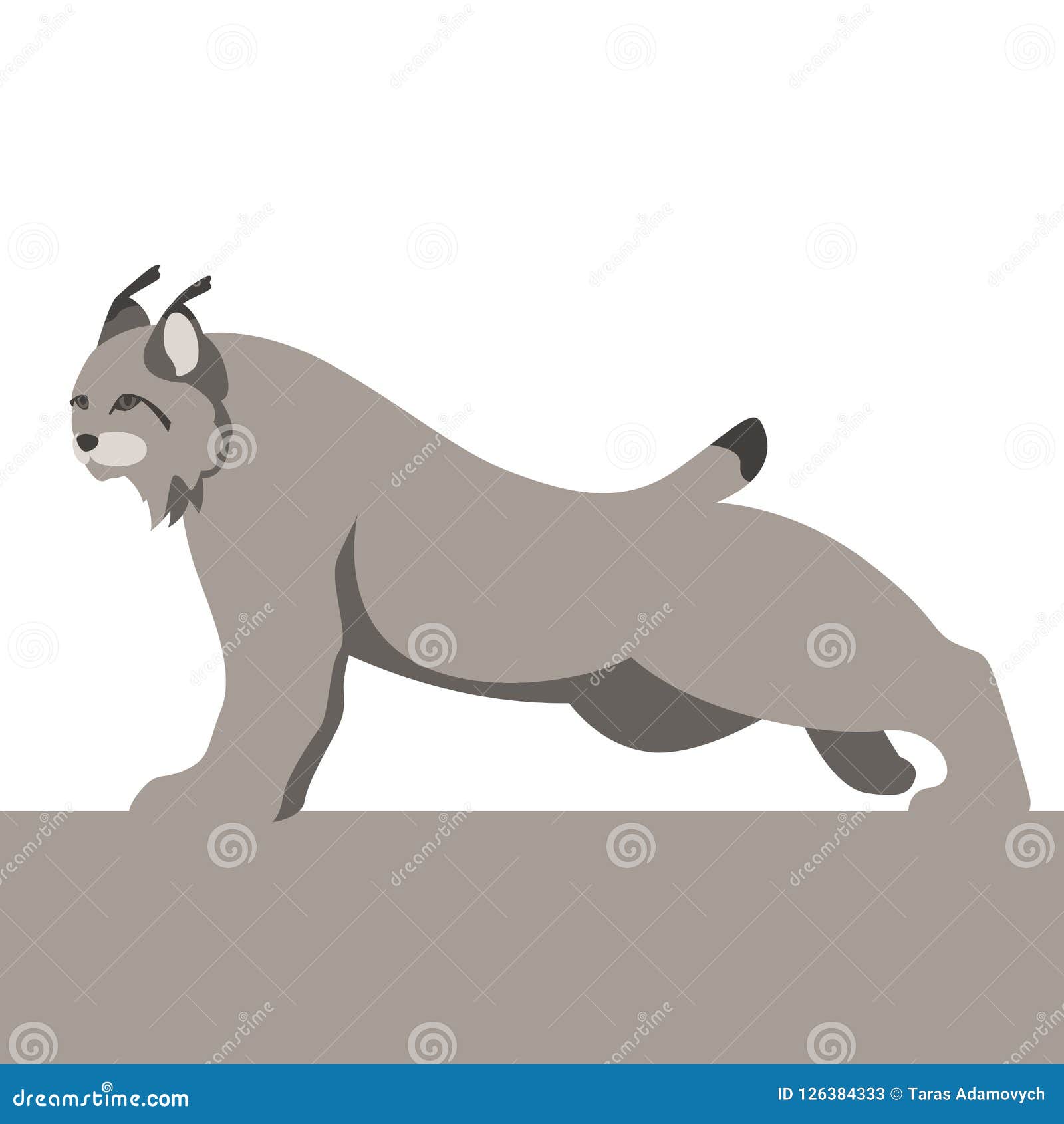 Lynx Vector Illustration Flat Style Profile Side Stock Vector ...