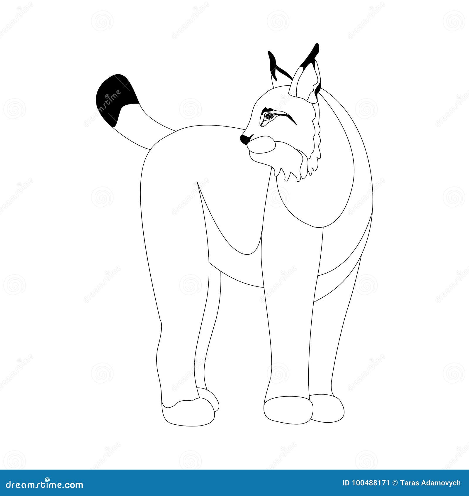 Lynx Vector Illustration Line Drawing Profile Stock Vector ...