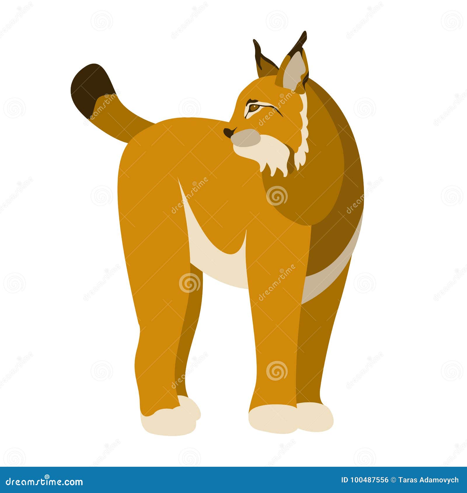 Lynx Vector Illustration Style Flat Profile Stock Vector - Illustration ... Lynx Vector Illustration Style Flat Profile Stock Vector - Illustration ...