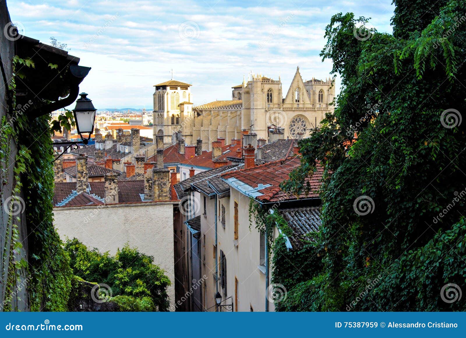Lyon, Catedral De Saint Jean Imagem de Stock - Imagem de folhas, verde ...