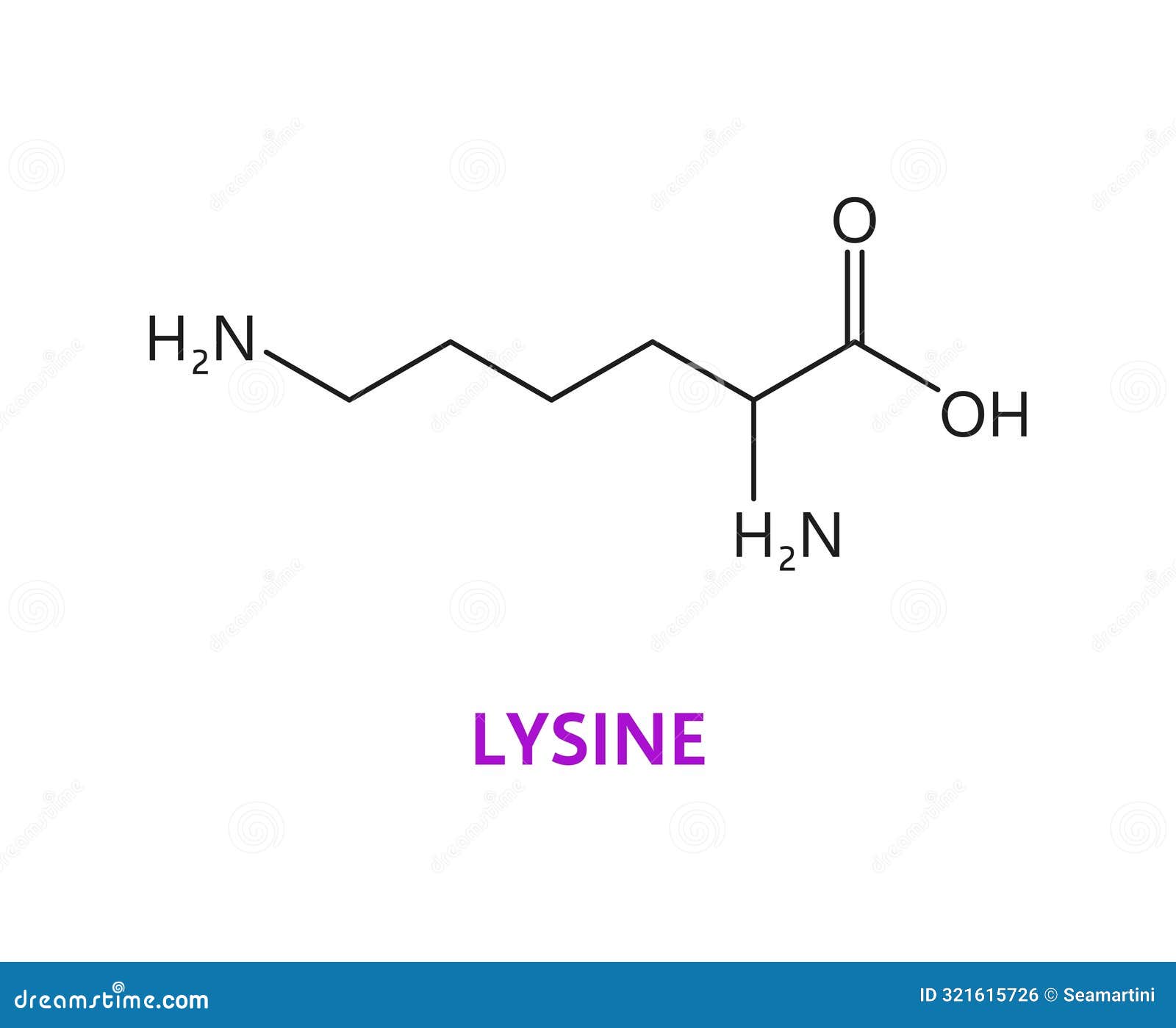 Lysine Amino Acid Chemical Molecule Structure Stock Vector ...