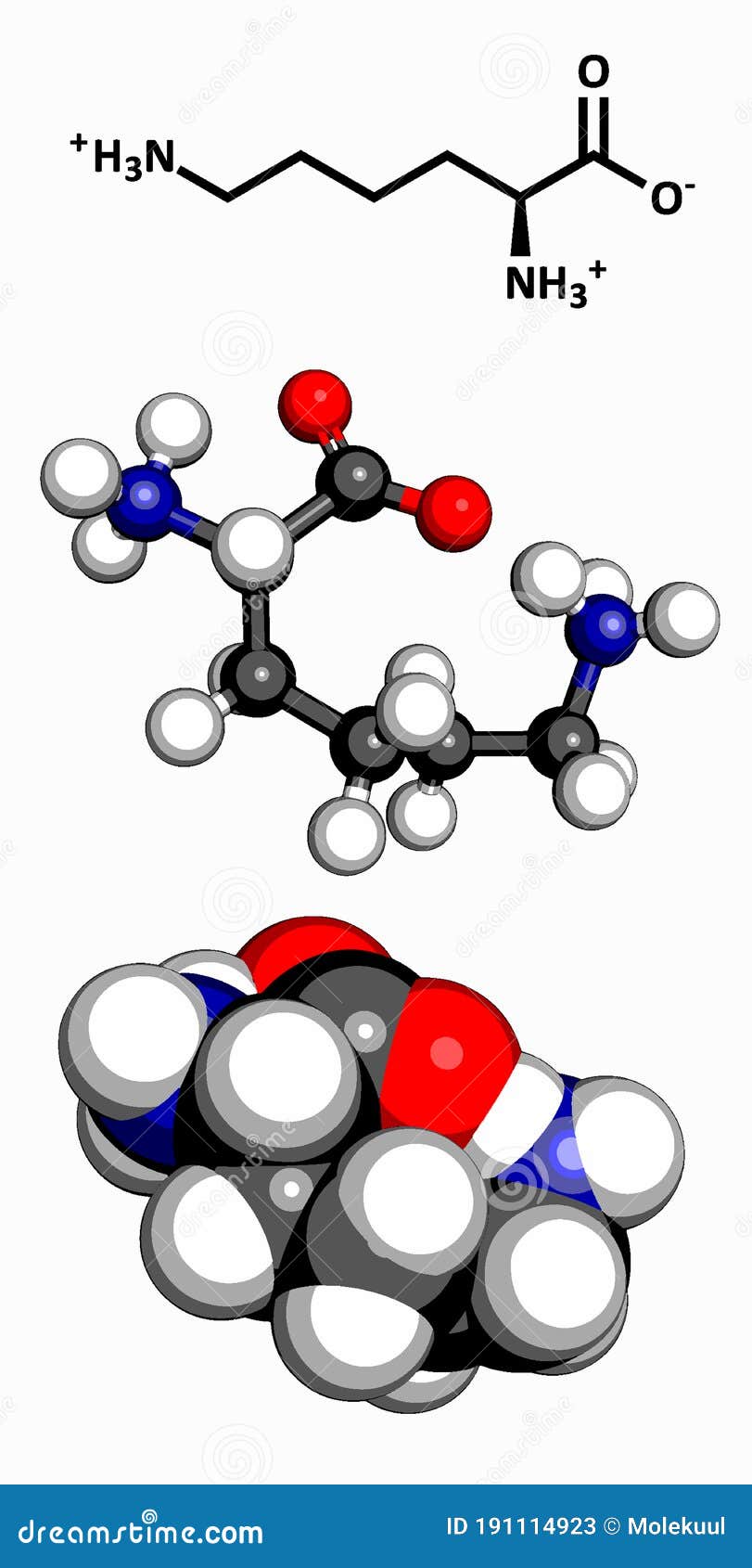 Lysine L-lysine, Lys, K Amino Acid Molecule. Stock Vector ...