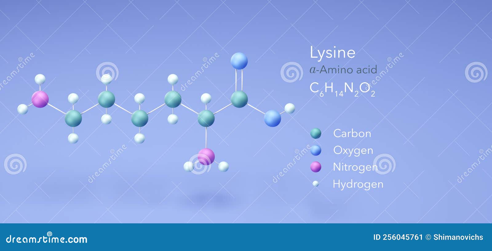 Lysine, Molecular Structures, Amino Acid, 3d Model, Structural Chemical ...