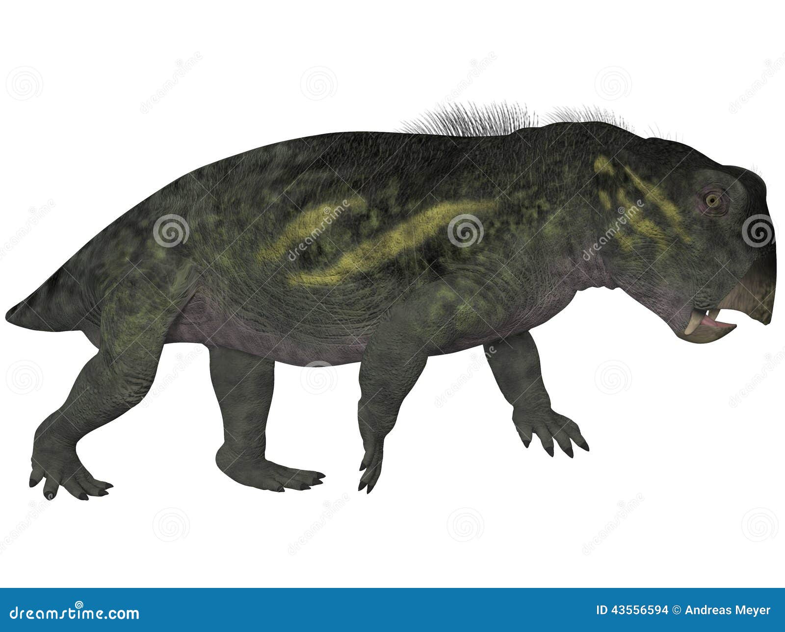 Lystrosaurus- 3D Dinosaur stock illustration. Illustration of ...