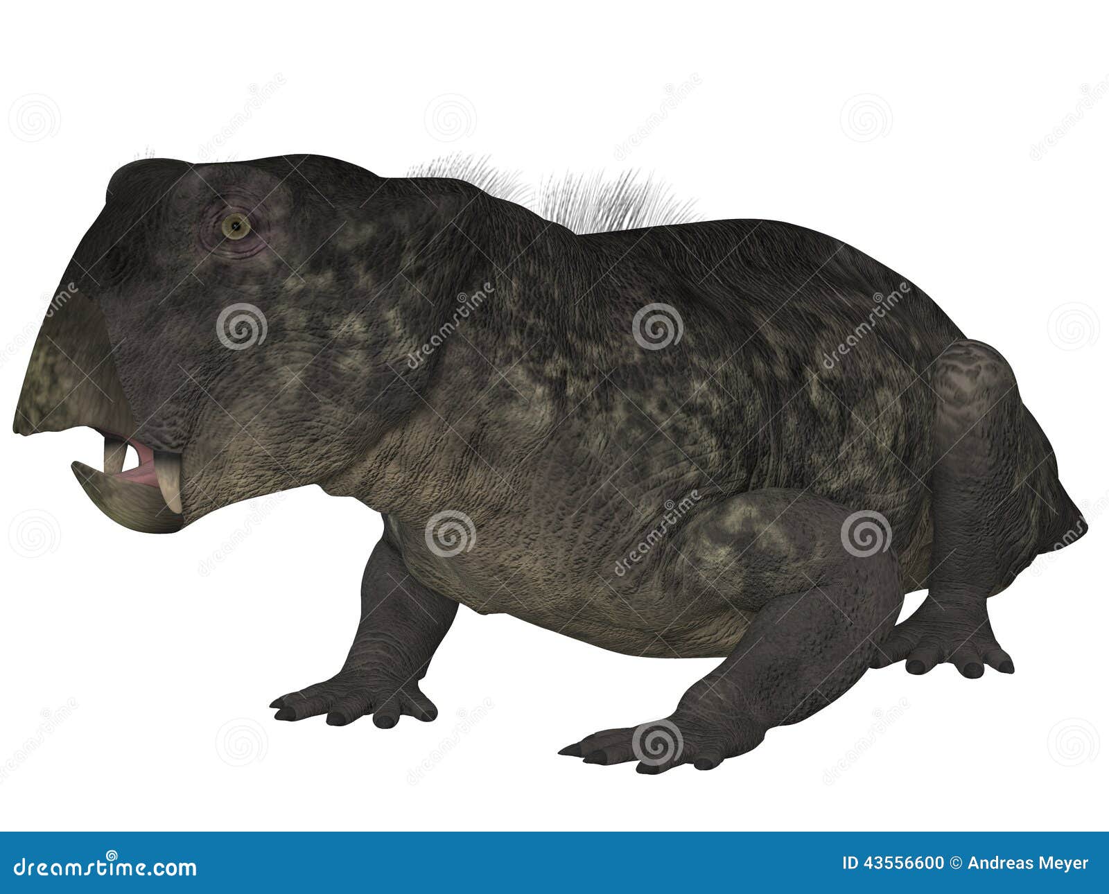 Lystrosaurus- 3D Dinosaur Royalty-Free Stock Photography ...