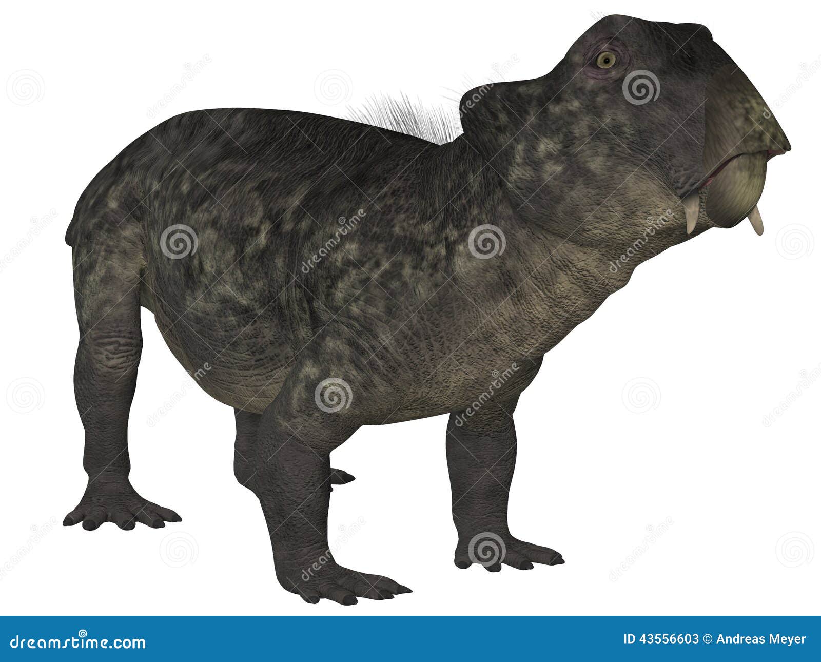 Lystrosaurus- 3D Dinosaur stock illustration. Illustration of late ...