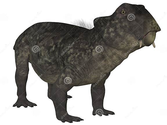 Lystrosaurus- 3D Dinosaur stock illustration. Illustration of late ...