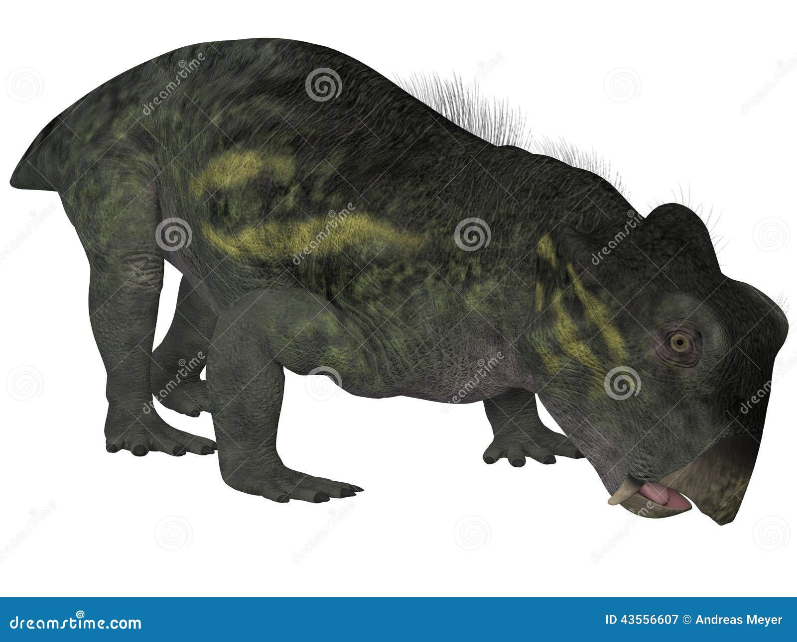 Lystrosaurus- 3D Dinosaur stock illustration. Illustration of late ...