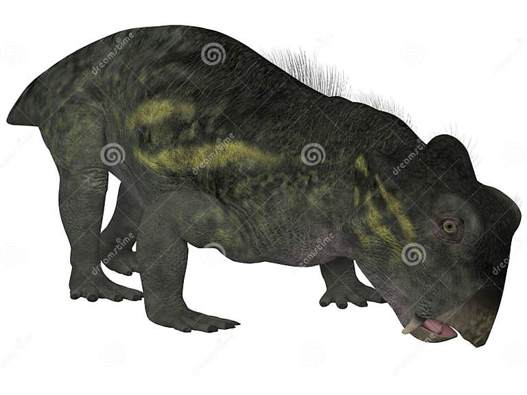 Lystrosaurus- 3D Dinosaur stock illustration. Illustration of late ...