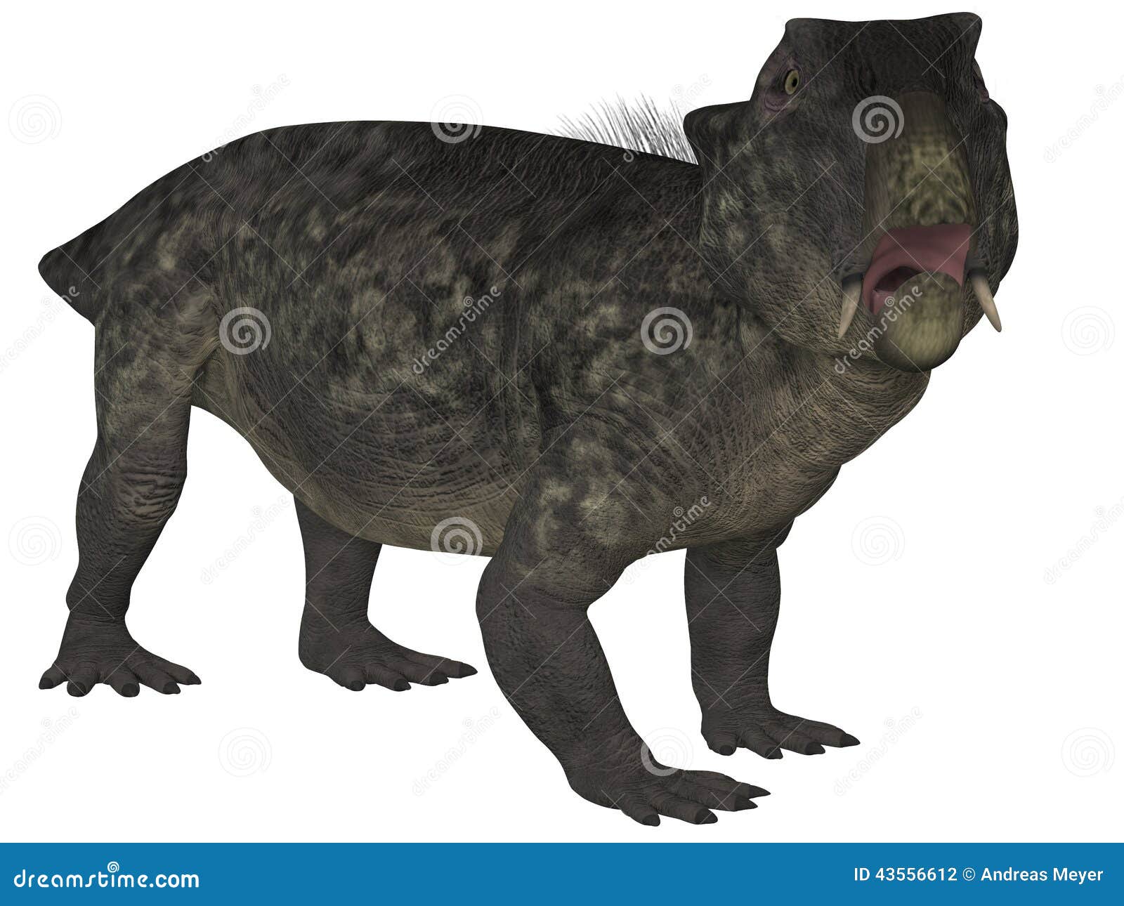 Lystrosaurus- 3D Dinosaur stock illustration. Illustration of extinct ...