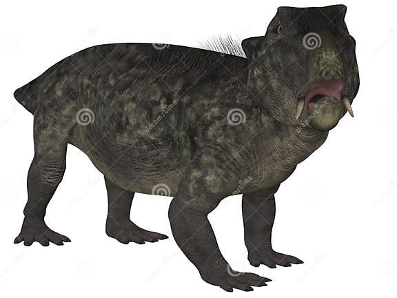 Lystrosaurus- 3D Dinosaur stock illustration. Illustration of extinct ...