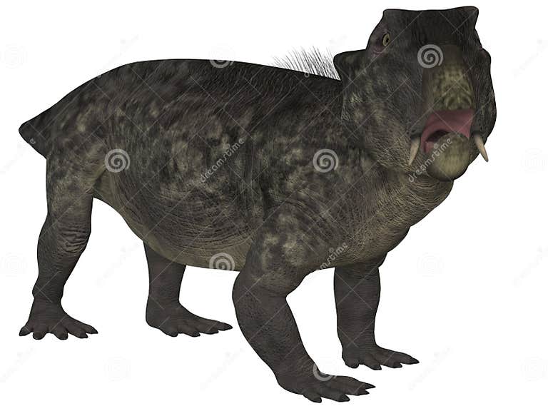 Lystrosaurus- 3D Dinosaur stock illustration. Illustration of extinct ...