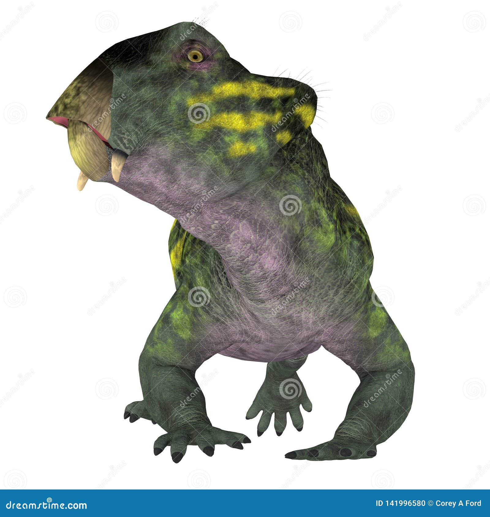 Lystrosaurus Dinosaur Head stock illustration. Illustration of murrayi ...