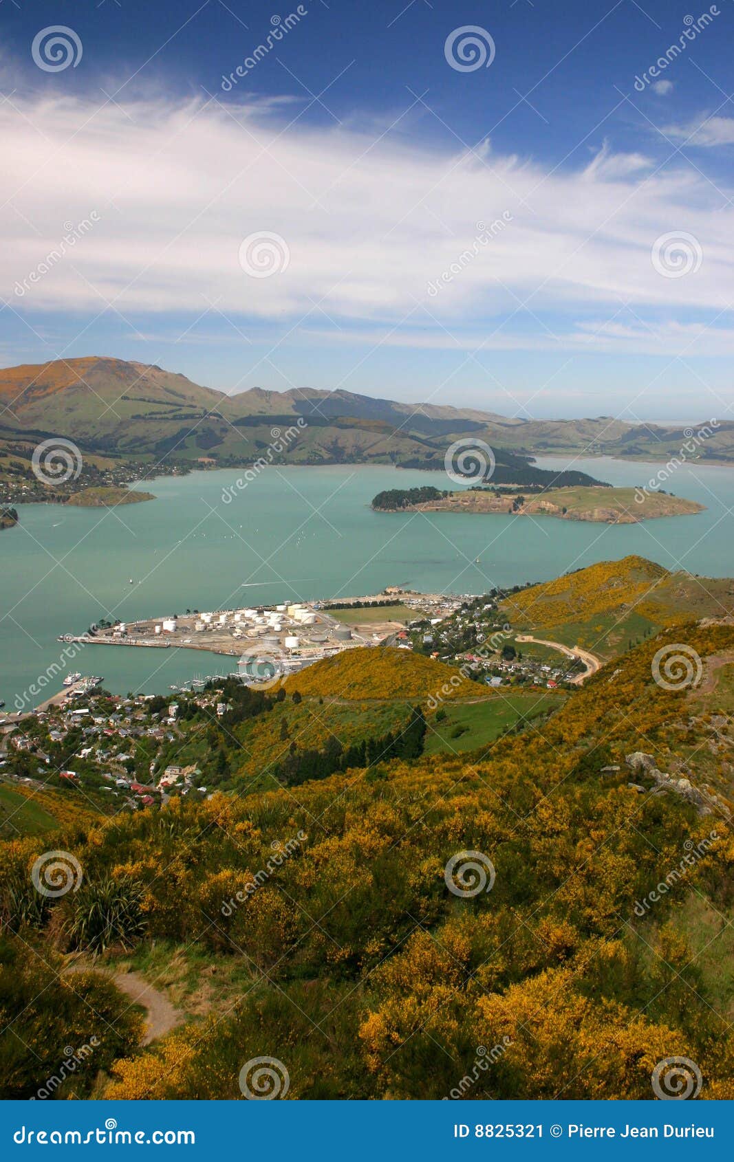 Lyttleton bay stock image. Image of lyttleton, wildlife - 8825321