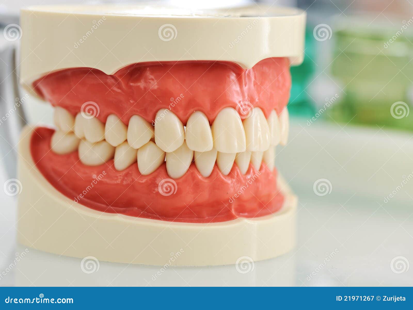 Mâchoire dentaire image stock. Image du hygiène, orthodontique - 21971267