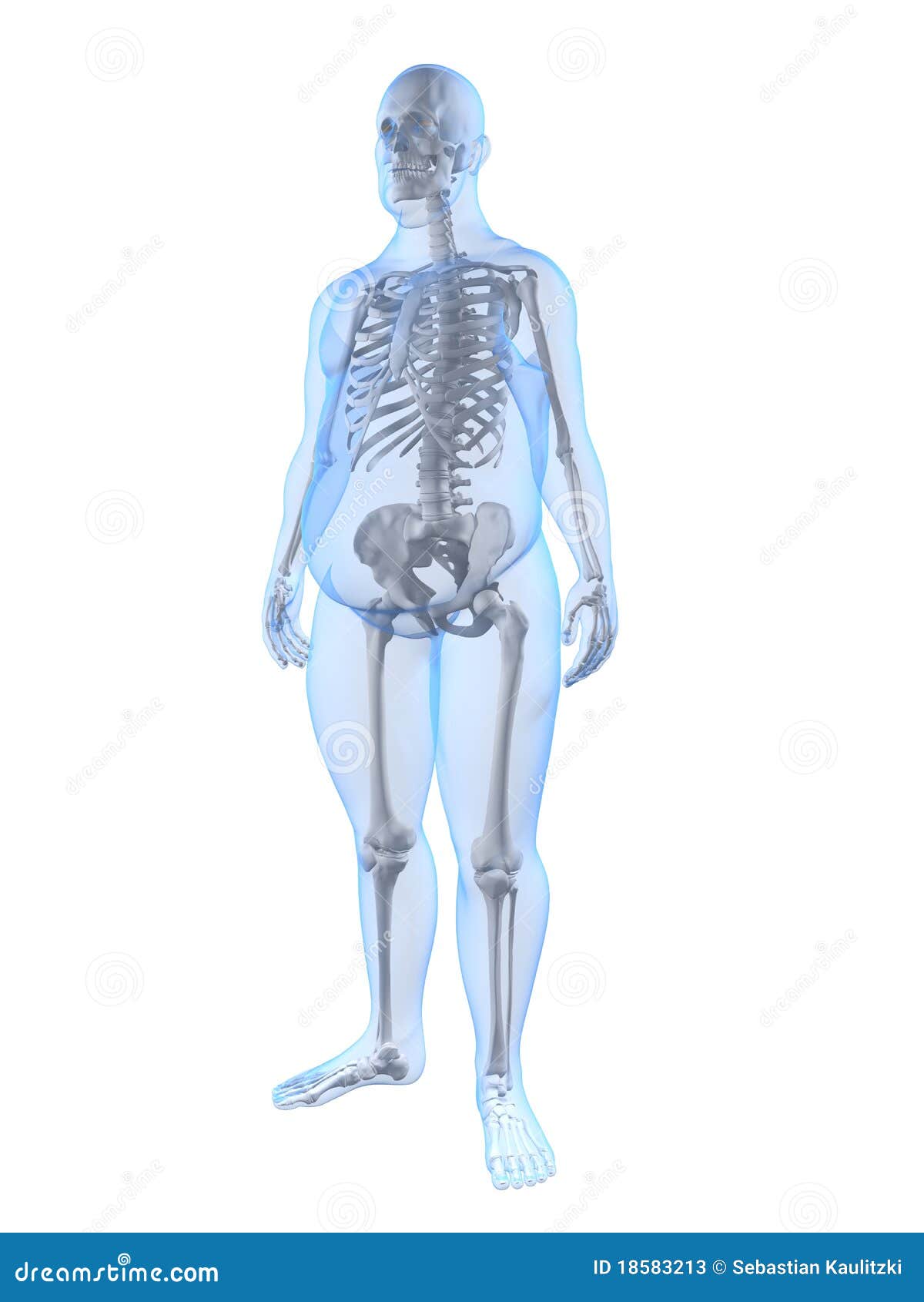 Mâle De Poids Excessif - Squelette Illustration Stock - Illustration du ...