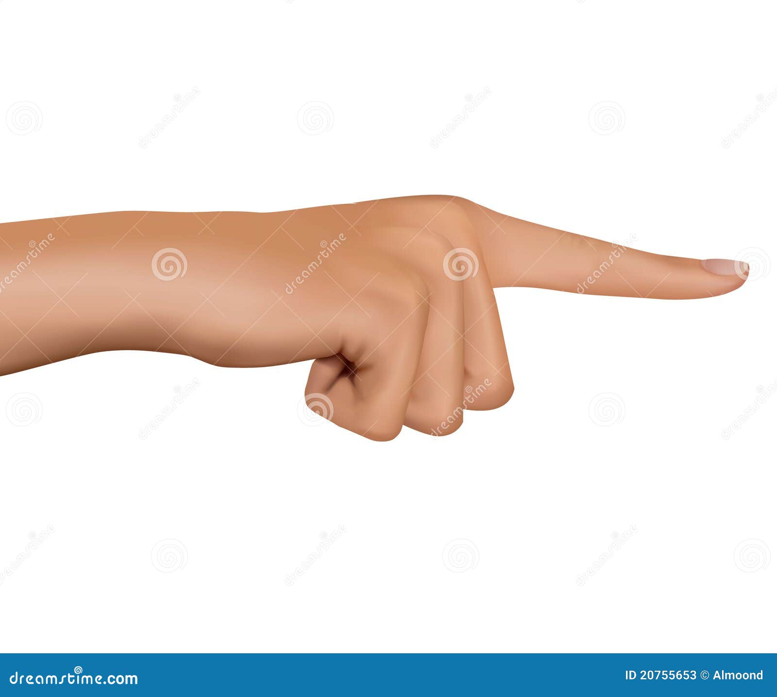 Mão Com Apontar O Dedo. Vetor. Fotos de Stock - Imagem: 20755653