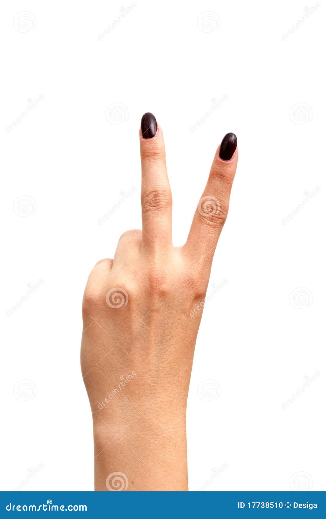 Mão com dois dedos foto de stock. Imagem de palma, adulto - 17738510