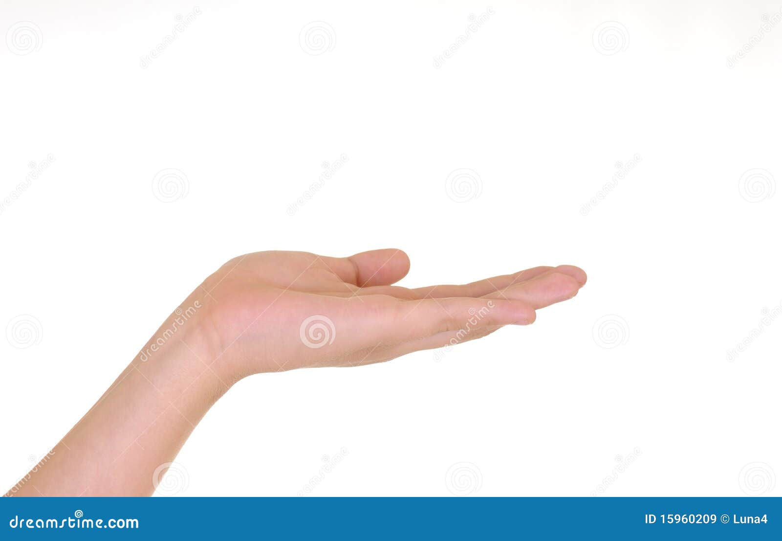 Mão esquerda imagem de stock. Imagem de tomada, sustento - 15960209