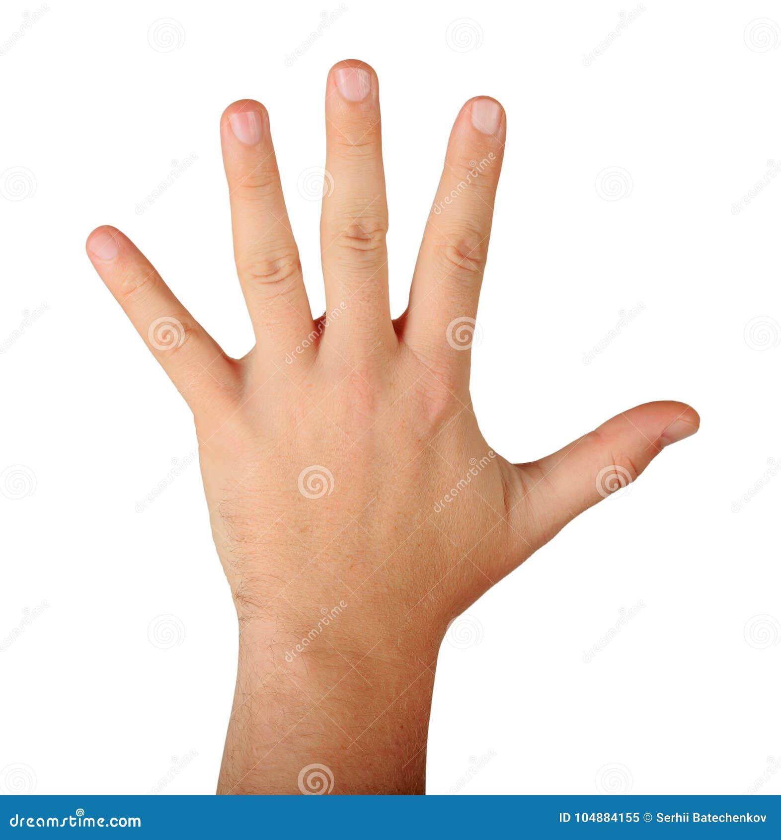 Mão Masculina Com Cinco Dedos Imagem de Stock - Imagem de cuidado ...