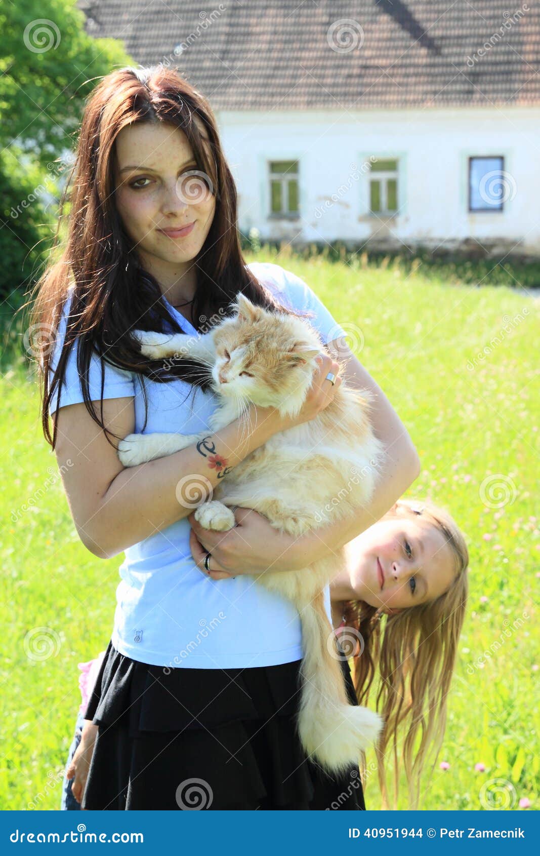 Mädchen mit einer Katze stockfoto. Bild von betrieb, fell - 40951944