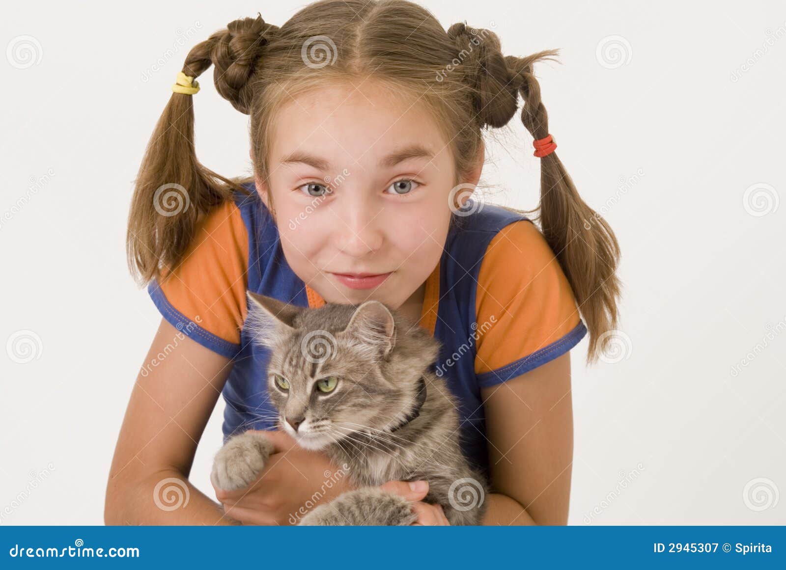 Mädchen mit einer Katze IV stockbild. Bild von mädchen - 2945307