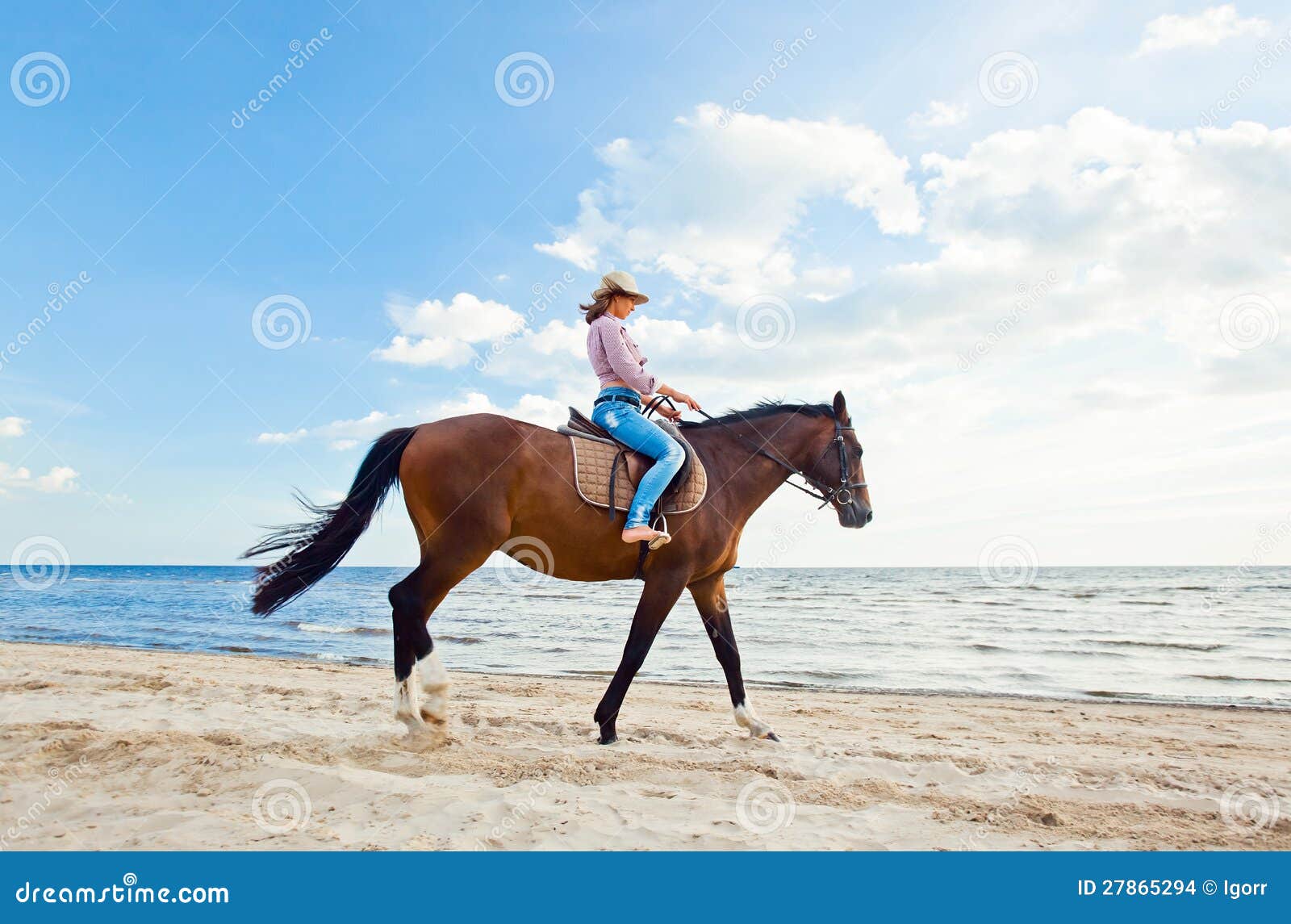 Mädchen Mit Pferd Auf Seeküste Stockfoto - Bild von pferd, küste: 27865294