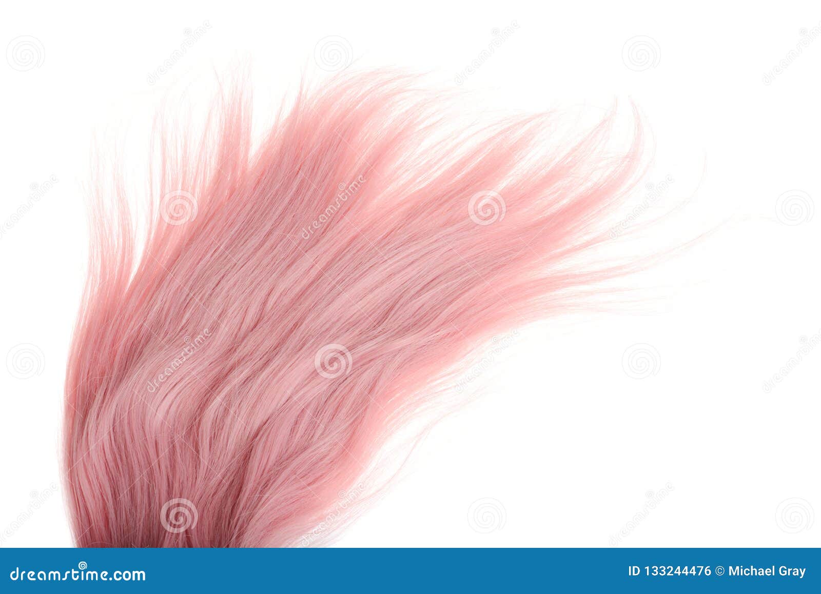 Mèche De Plan Rapproché Des Cheveux Roses Photo stock - Image du ...