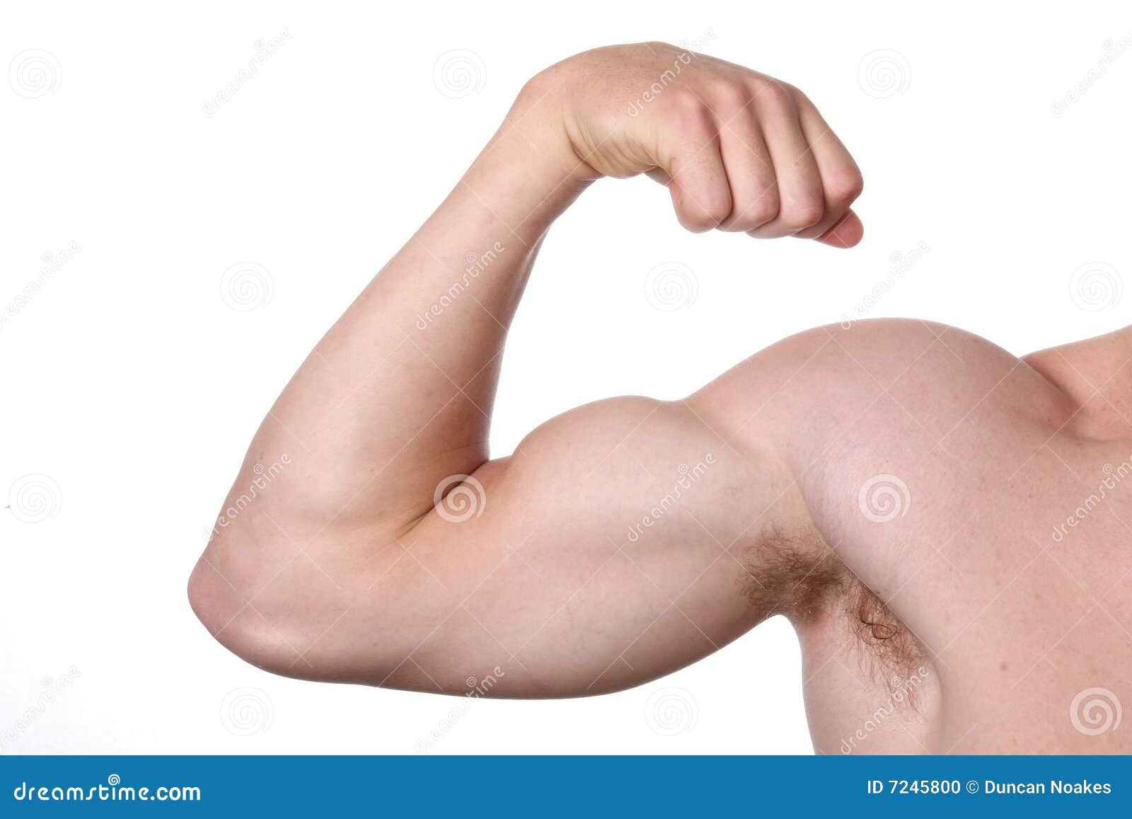 Músculos del brazo foto de archivo. Imagen de potencia - 7245800