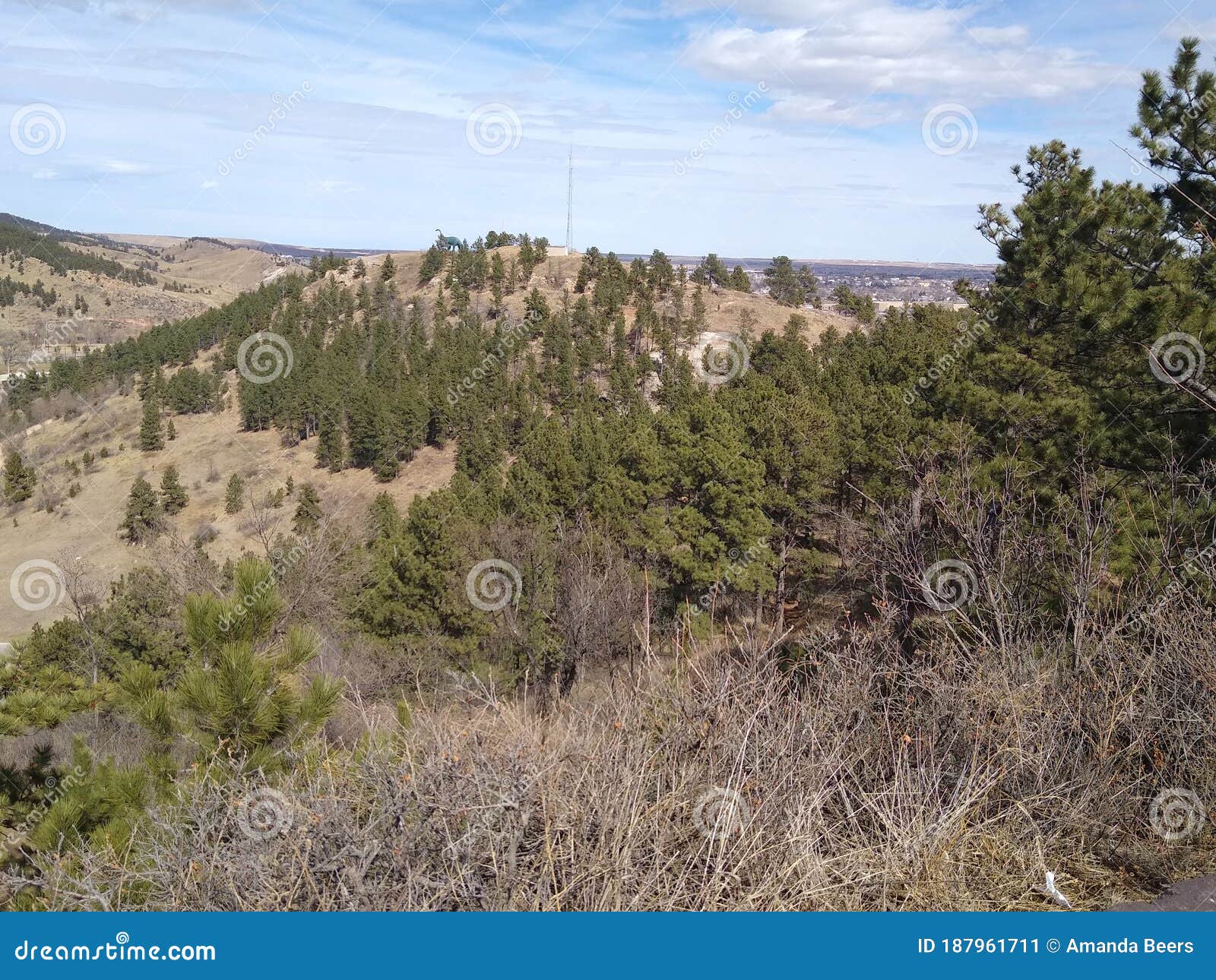 M Hill Skyline Trails and Hikes Stock Image - Image of tree, terrain ...