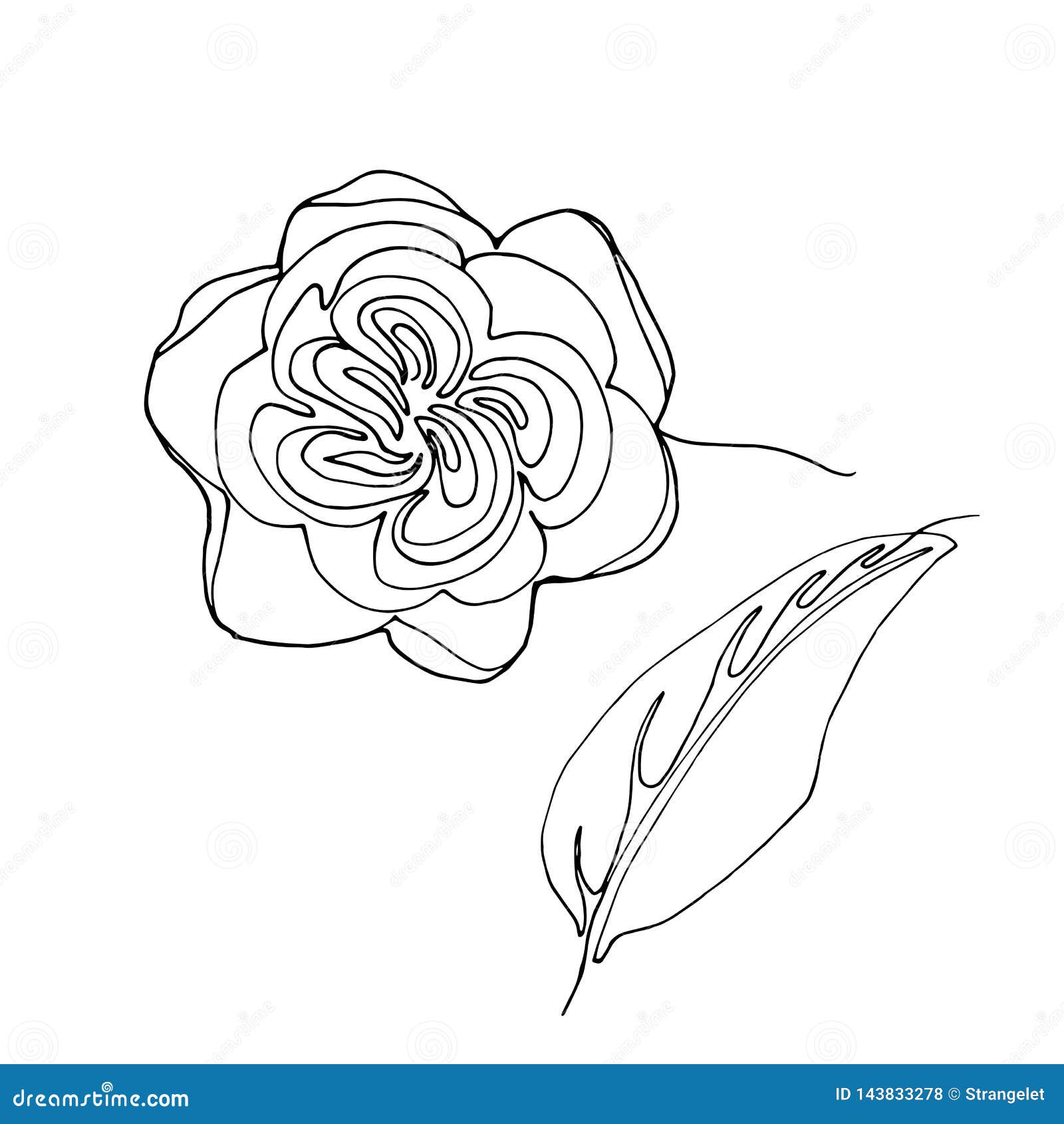 Hand Drawn Rose Flower One Single Continuous Line Drawing Ilustração