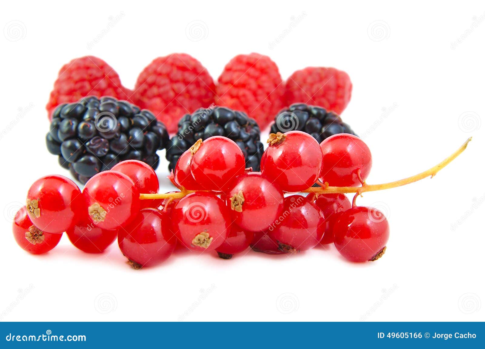 Mûres, Groseilles Rouges Et Framboises Photo stock - Image du dewberry ...
