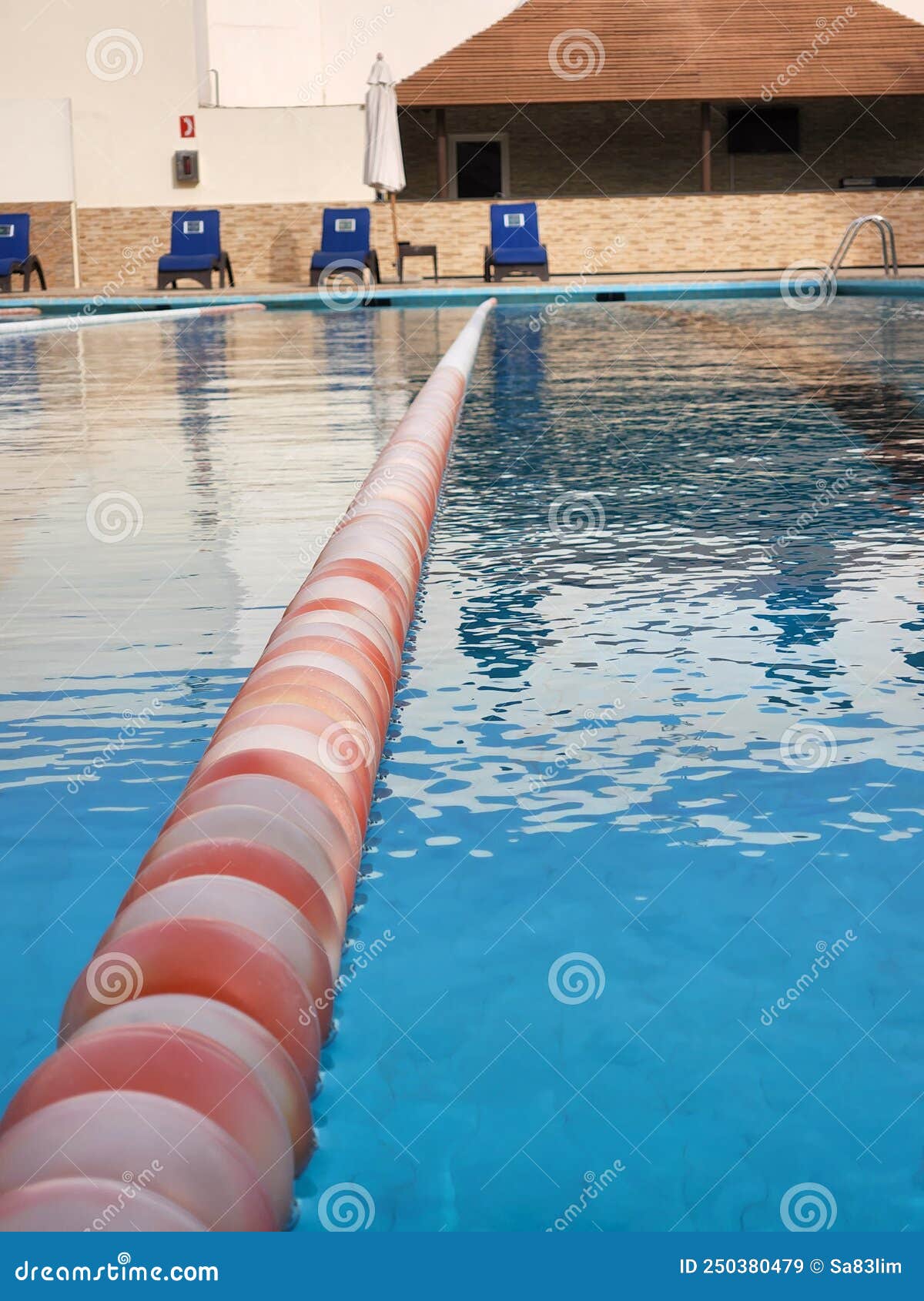 25m swimming pool stock image. Image of water, swimmer - 250380479