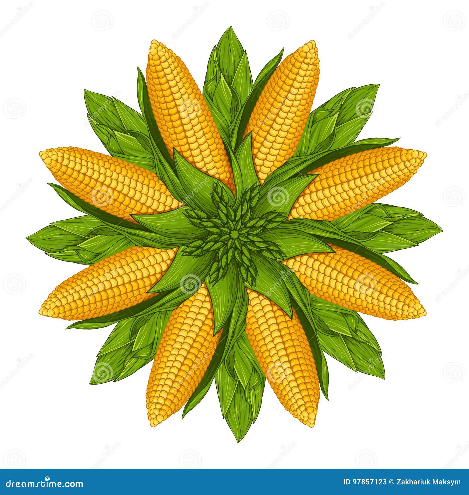 Maíz ilustración del vector. Ilustración de fresco, fondo - 97857123