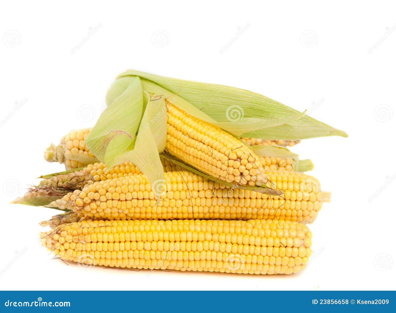 Maíz de las mazorcas foto de archivo. Imagen de mazorcas - 23856658