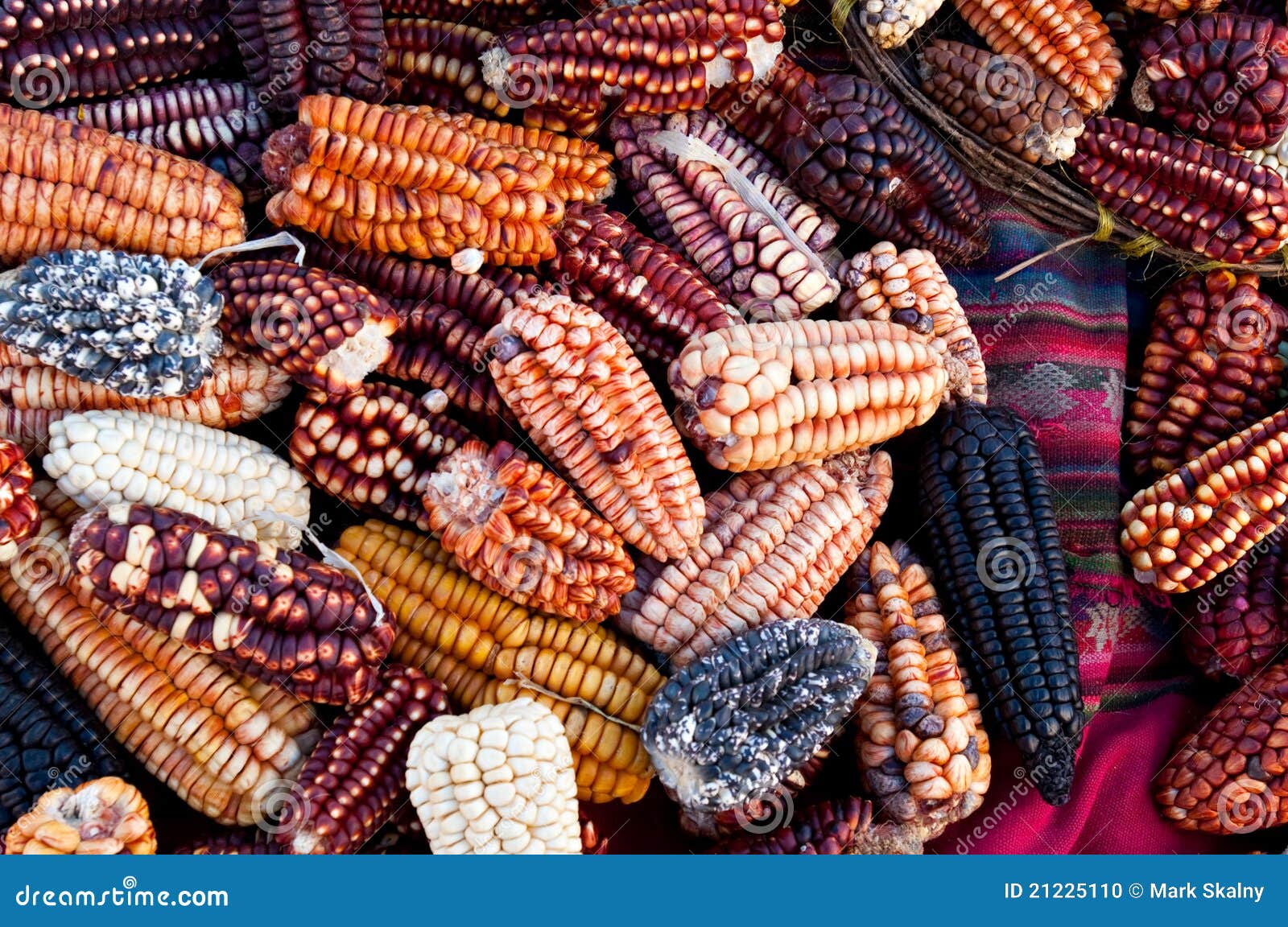 Maíz peruano foto de archivo. Imagen de horizontal, producto - 21225110