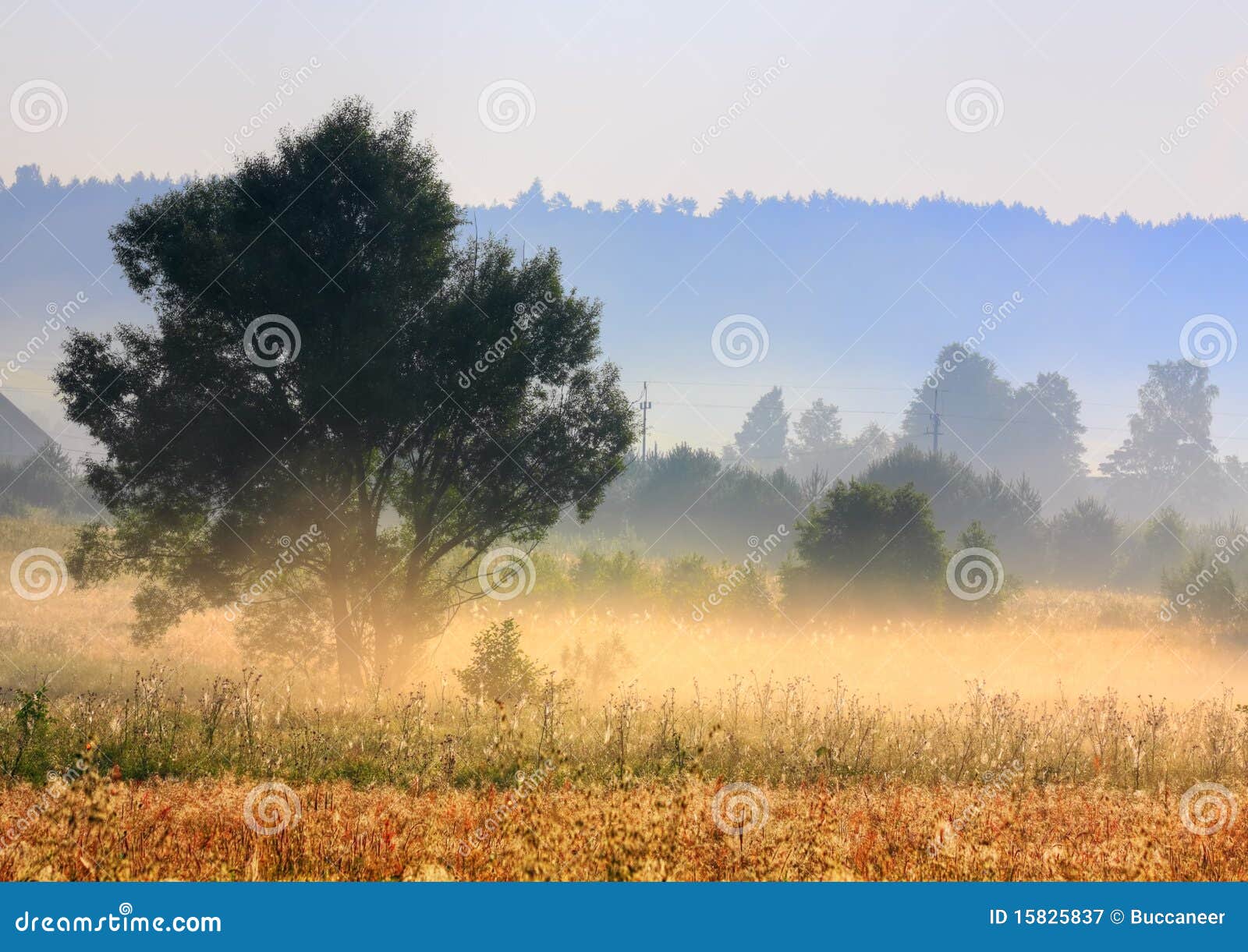 Mañana brumosa imagen de archivo. Imagen de paisaje, suave - 15825837