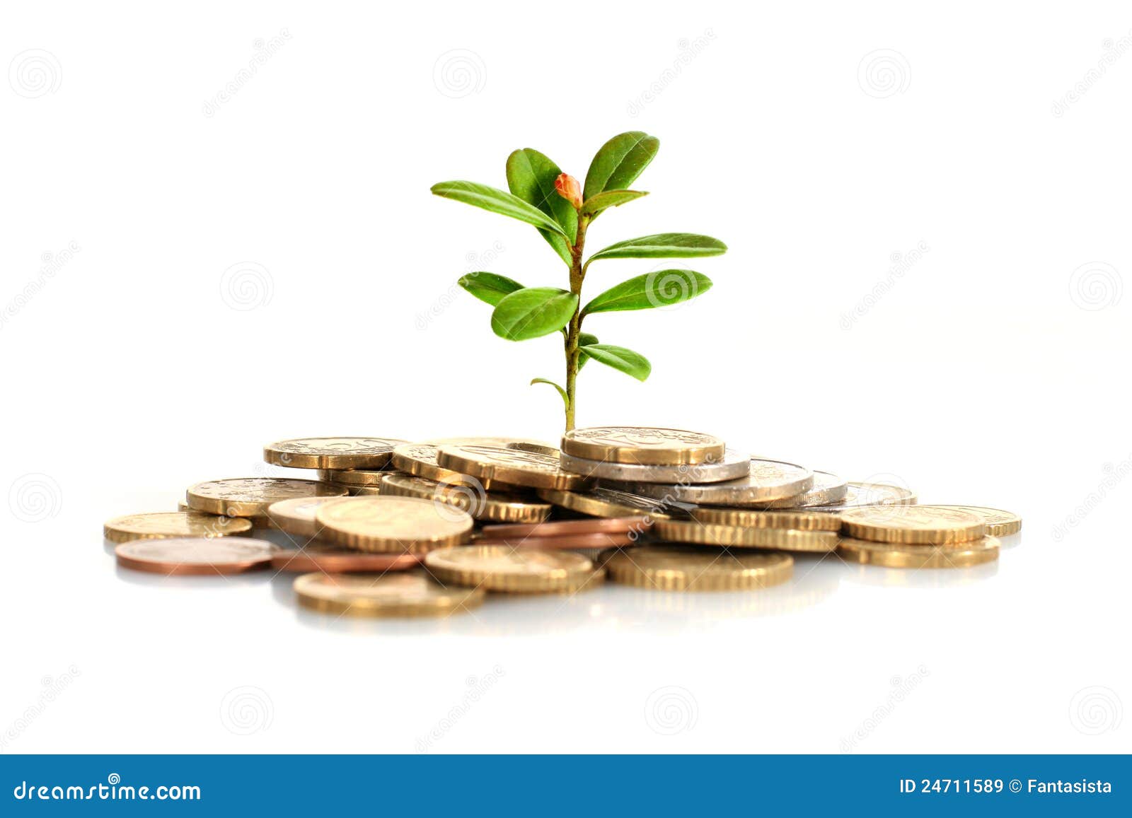 Maak geldconcept. stock afbeelding. Image of munt, lening - 24711589