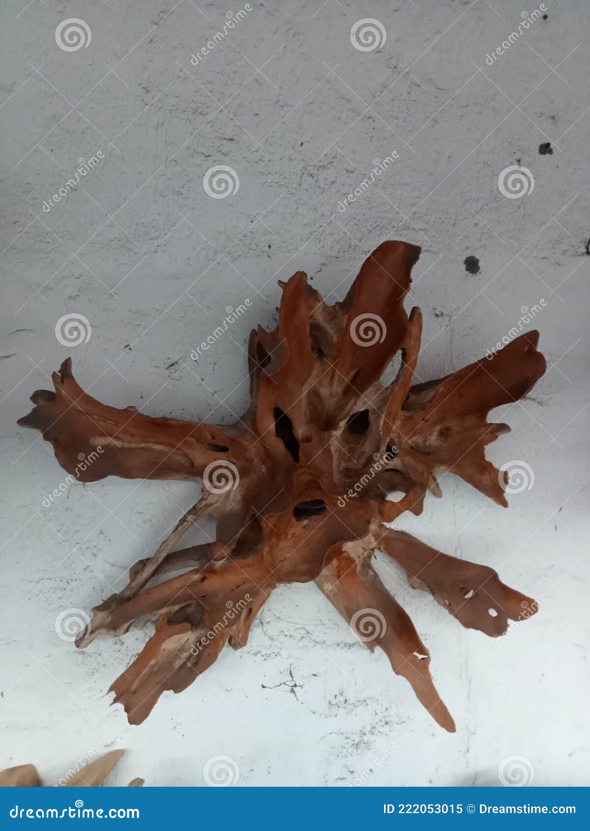 Mabel Wood table sale art stock image. Image of sculpture - 222053015