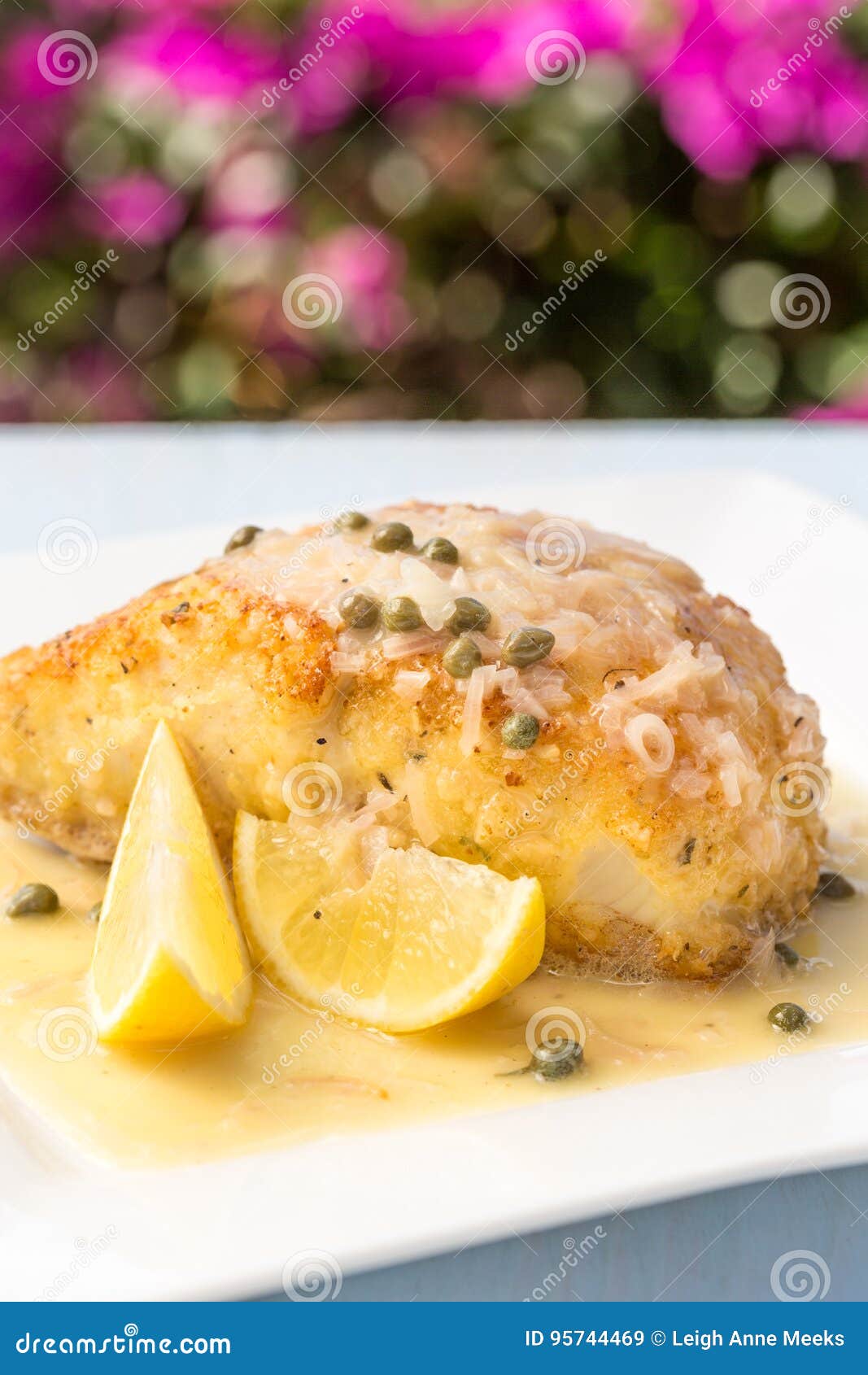 Mac Crusted Ono stock image. Image of fish, dinner, green - 95744469