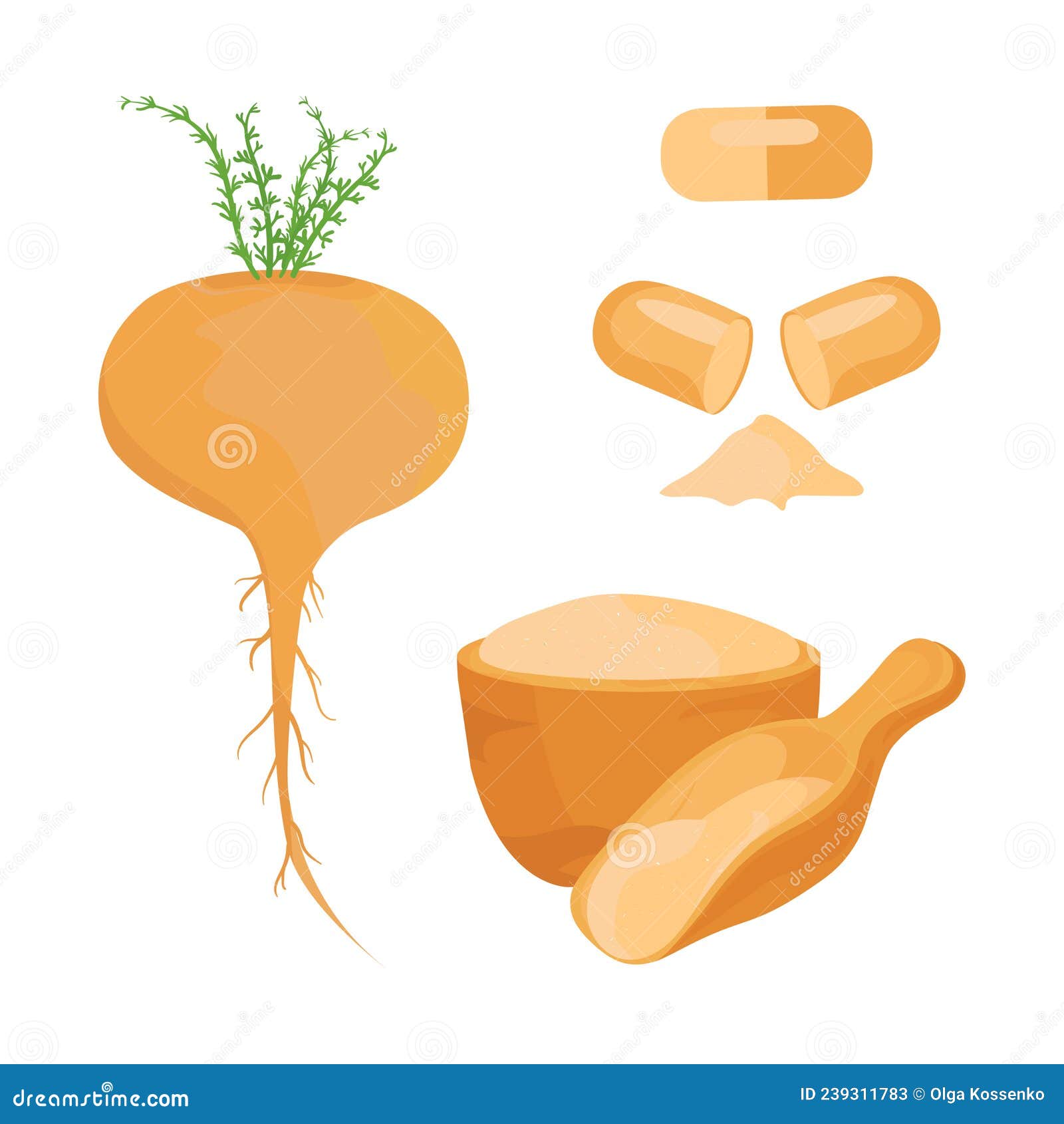 Maca. Root Vegetable. Powder, Capsule. Cartoon Vector | CartoonDealer ...