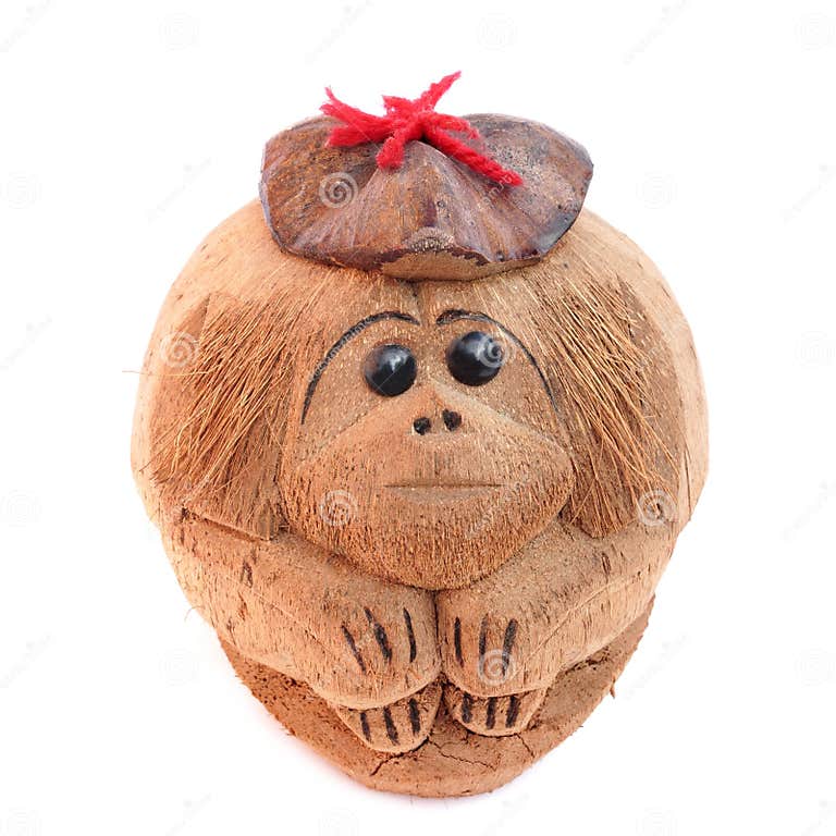 Macaco de um coco imagem de stock. Imagem de folhas, marrom - 43773775